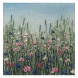 Card (Jo Butcher): Cornflower Meadow