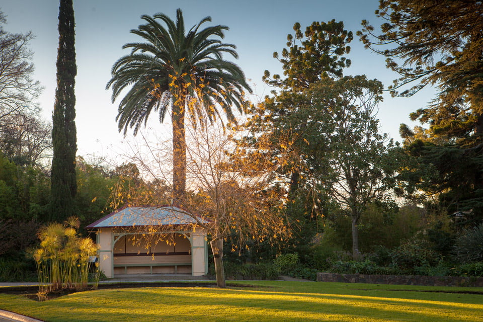 BURNLEY GARDENS | A Walk and Talk with The Friends of the Burnley Gardens