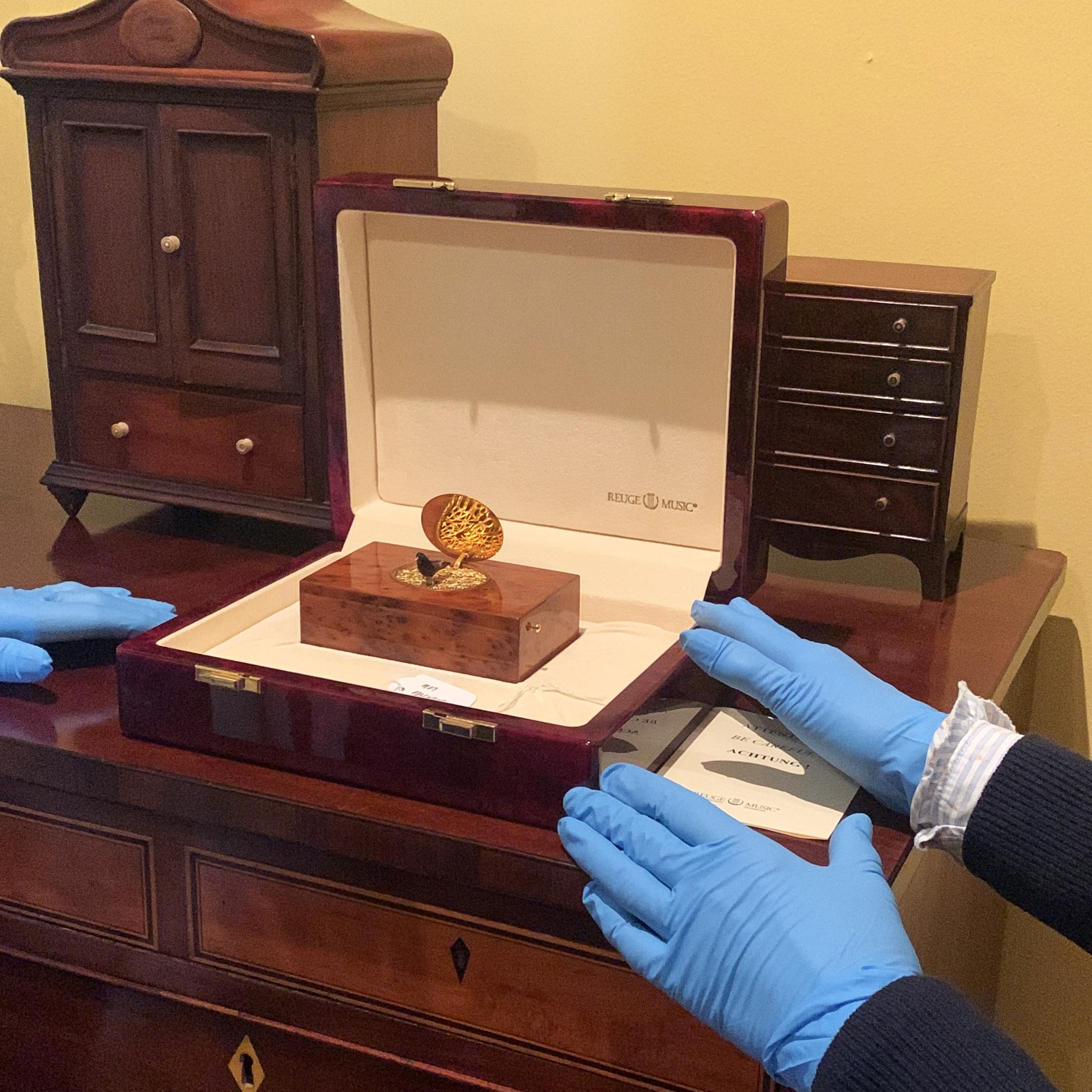 SPECIAL INTEREST TOUR | Unlocking The Collection