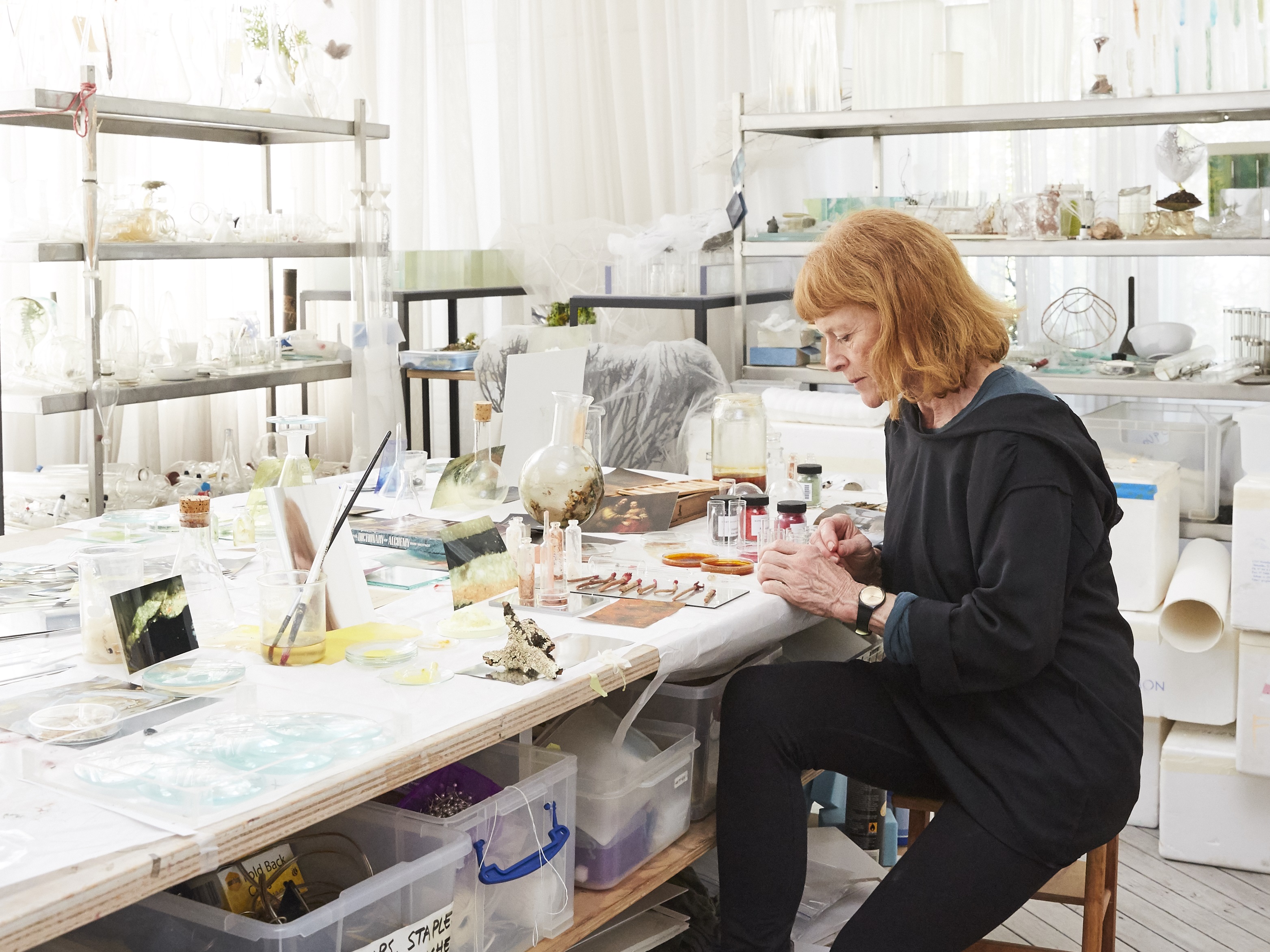 WALK & TALK with Janet Laurence