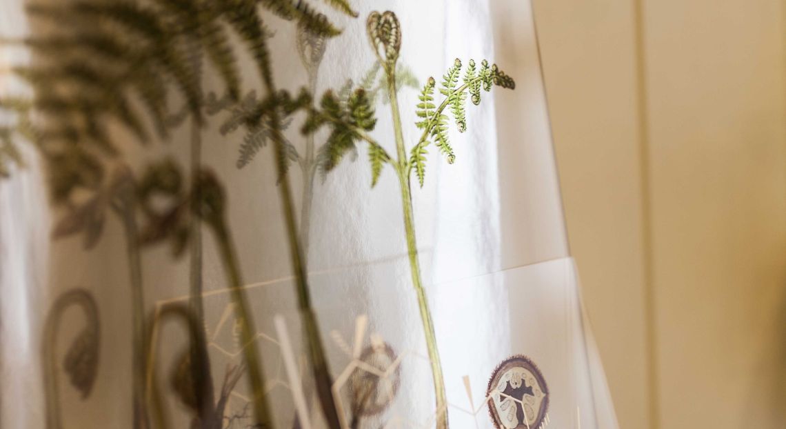 The Johnston Collection | Museum of Fine Art & Decorative Art Melbourne